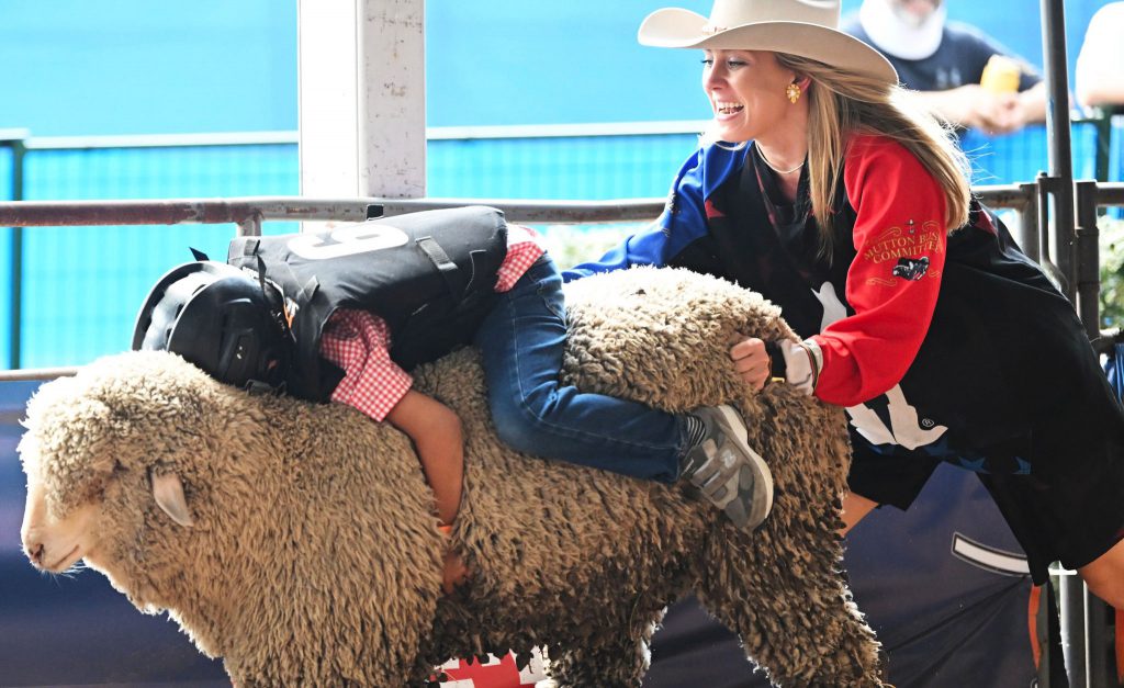 7 Must-See Attractions at Rodeo Houston | Dellrose Living
